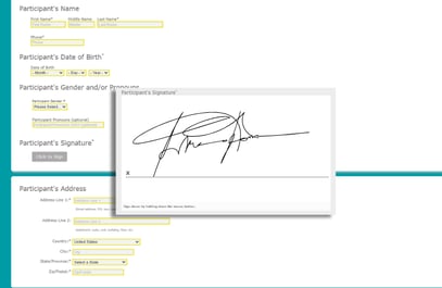 Rock Gym Pro Software | Home